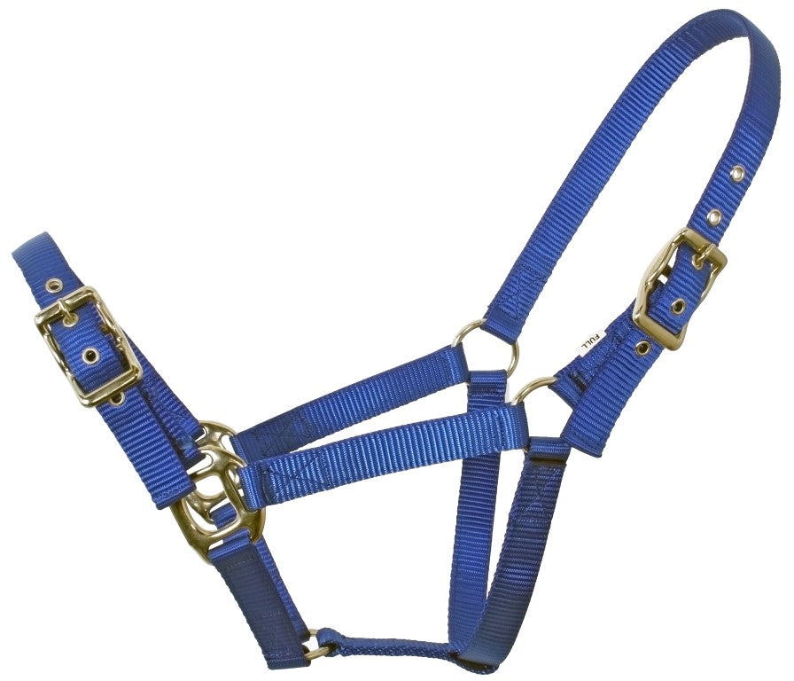 Flair Heavy Duty Halter– Saddlery Barn