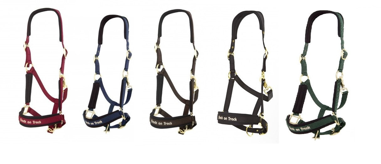 Back On Track Werano Halter– Saddlery Barn